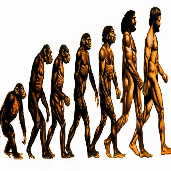 Koja je to "karika koja nedostaje" u Darwinovoj teoriji evolucije?